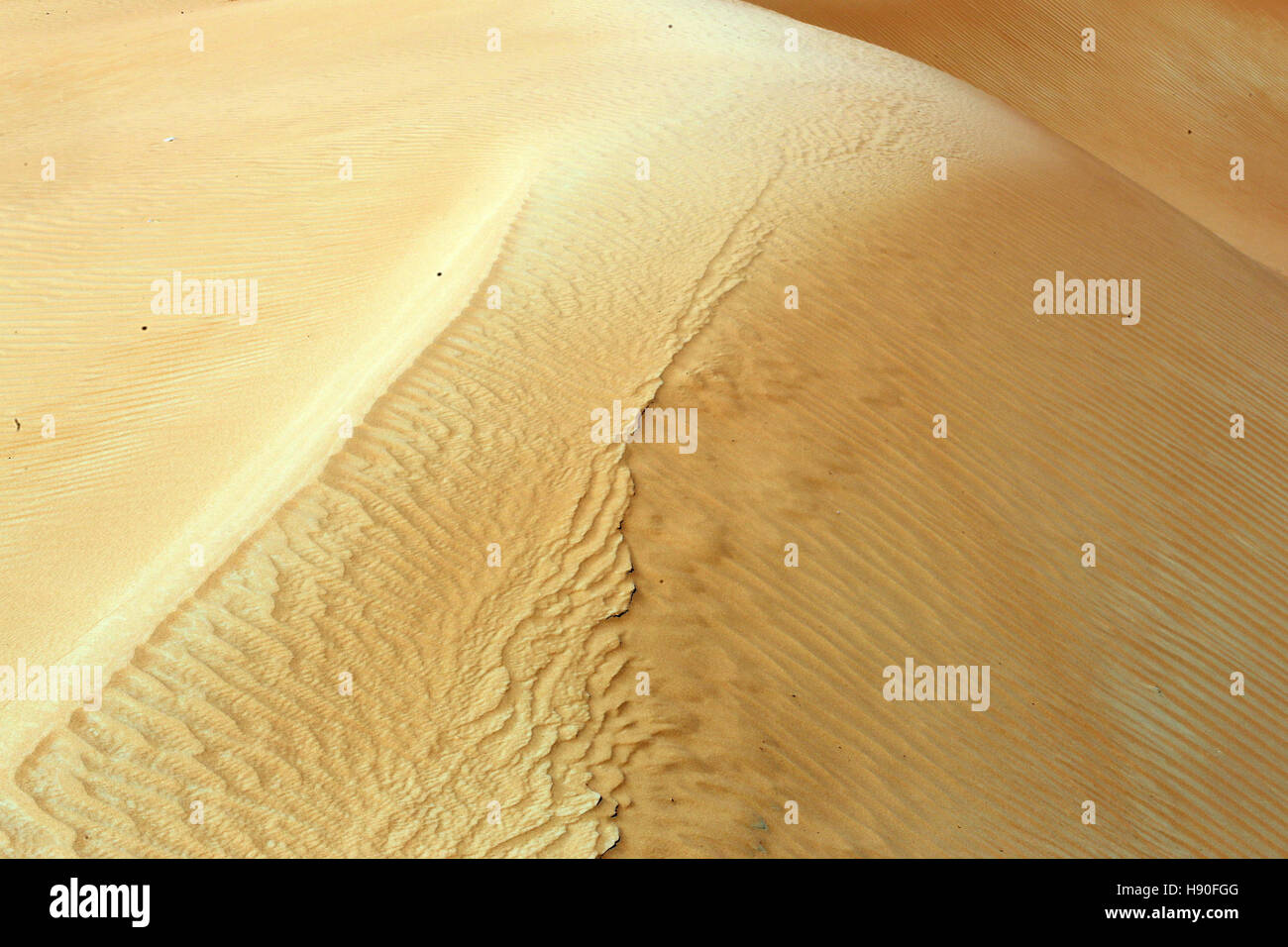 Sand dunes in United Arab Emirates Stock Photo - Alamy
