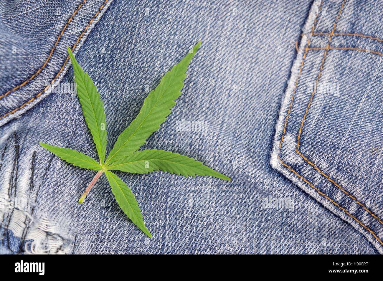Marijuana texture hi-res stock photography and images - Alamy