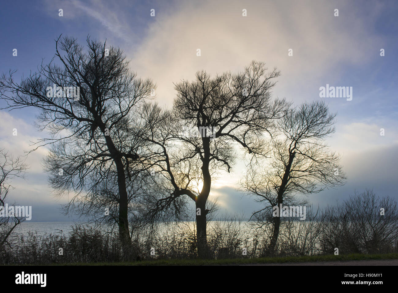 Dummer High Resolution Stock Photography and Images - Alamy