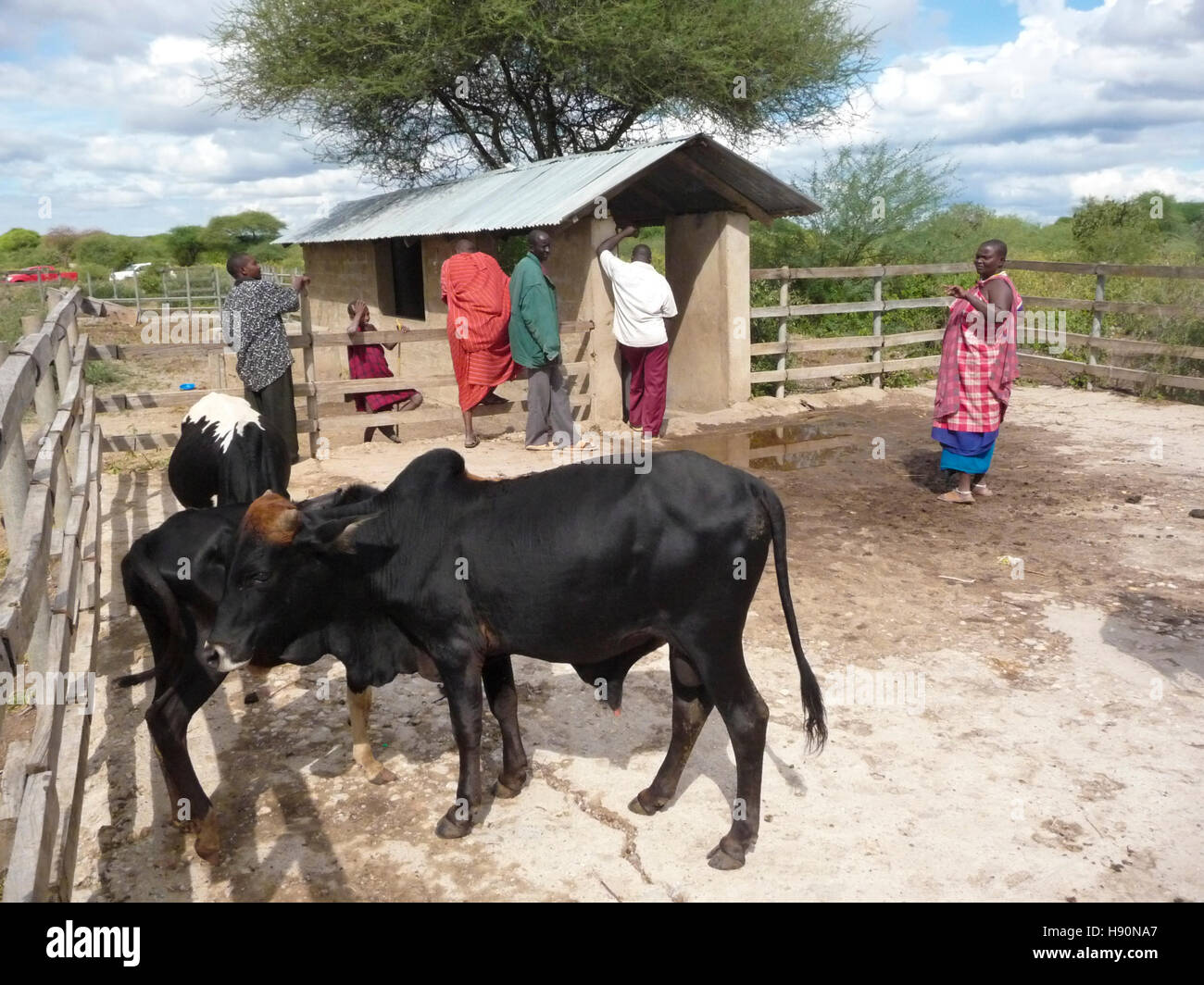 A development aid project in Tanzania Stock Photo - Alamy