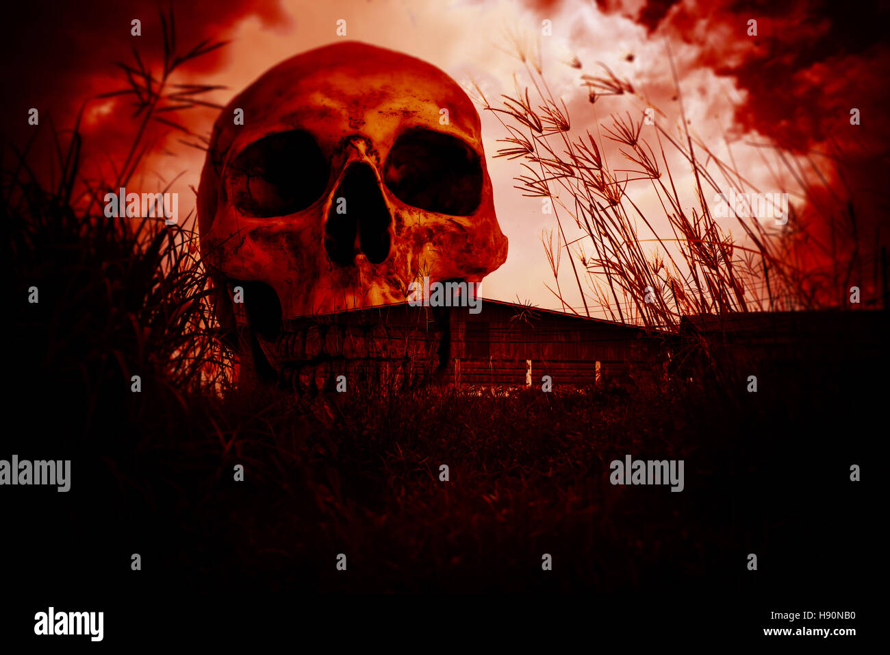 Haunted House,Horror Background For Halloween Concept or Book Cover ...