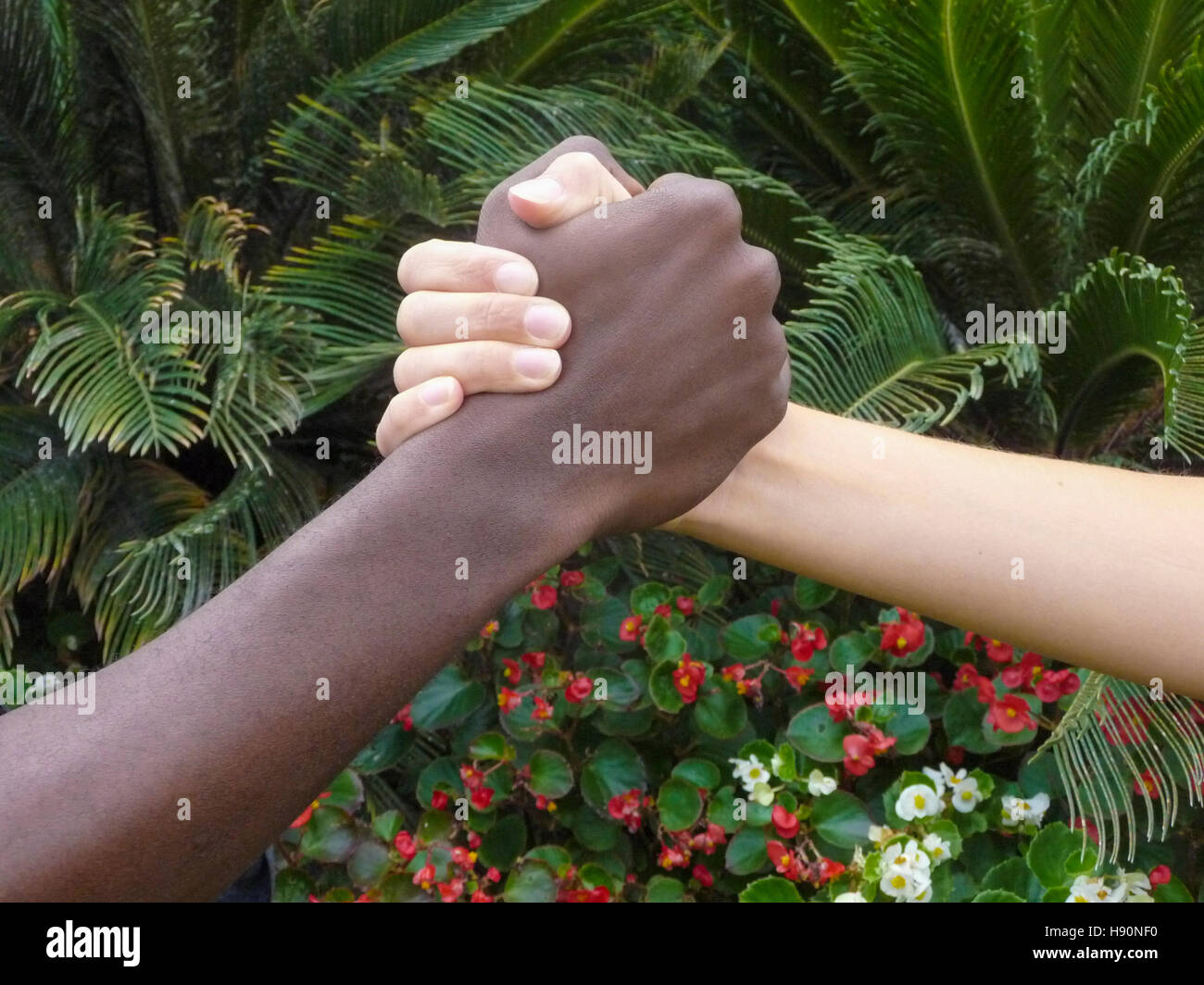 Overcoming racial divide hi-res stock photography and images - Alamy