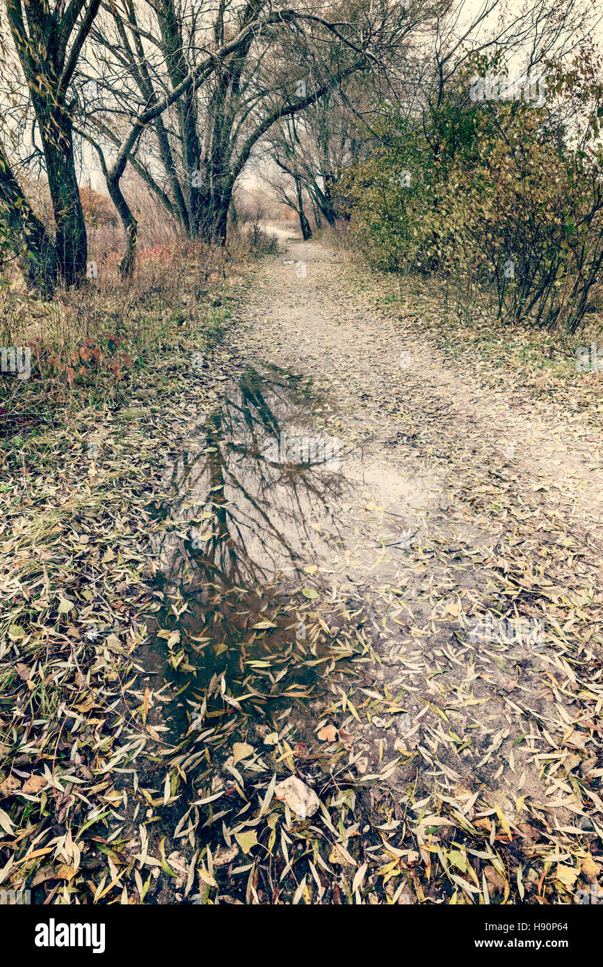 Puddle effect hi-res stock photography and images - Alamy