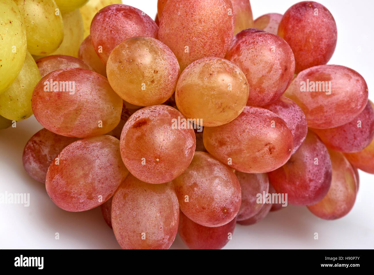 Two sorts of grapes in close-up Stock Photo - Alamy