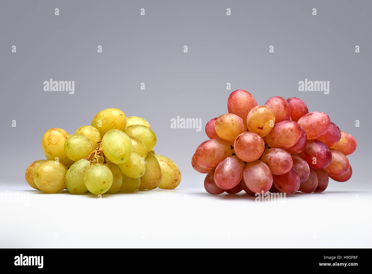 Two sorts of grapes with gray gradient for background Stock Photo - Alamy
