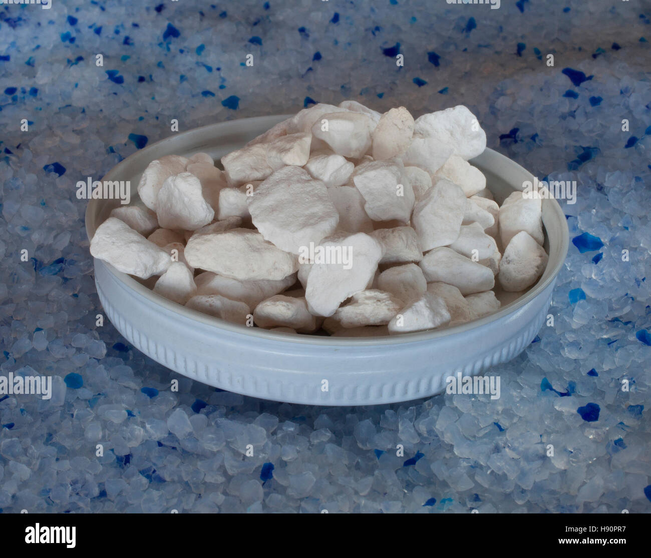 Processed gypsum in a lid on top of kitty litter Stock Photo - Alamy