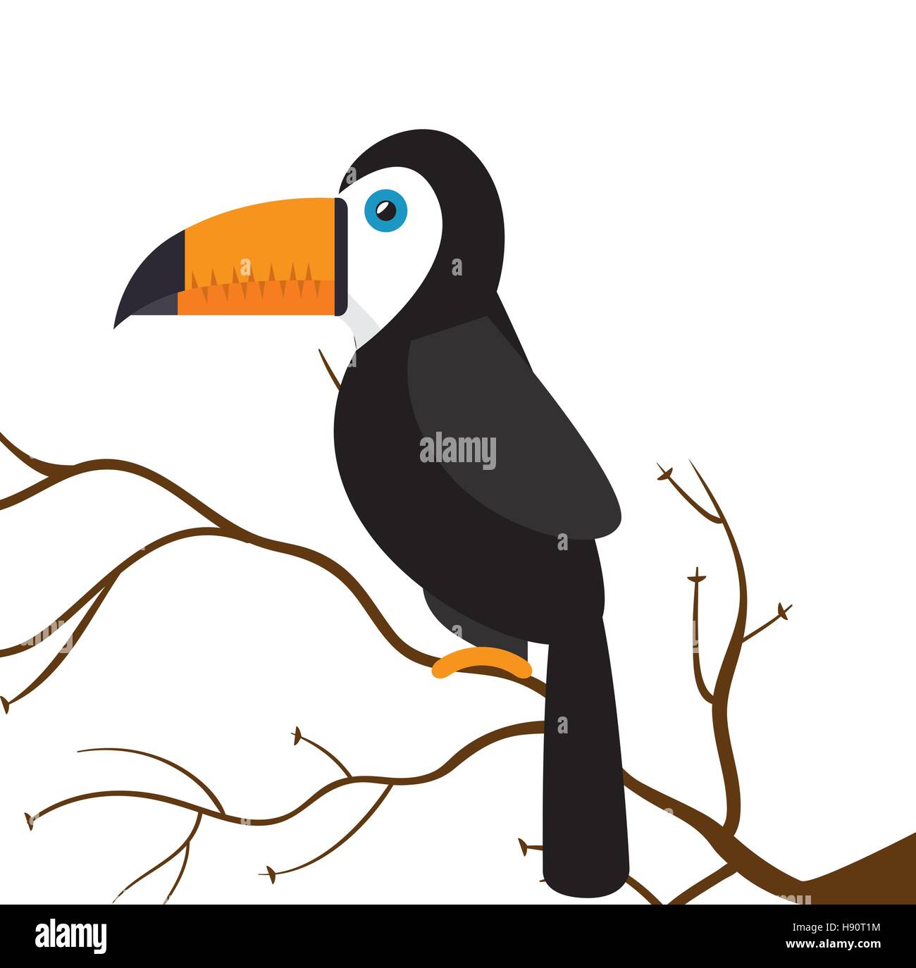 Amazon rainforest brazil bird Stock Vector Images - Alamy