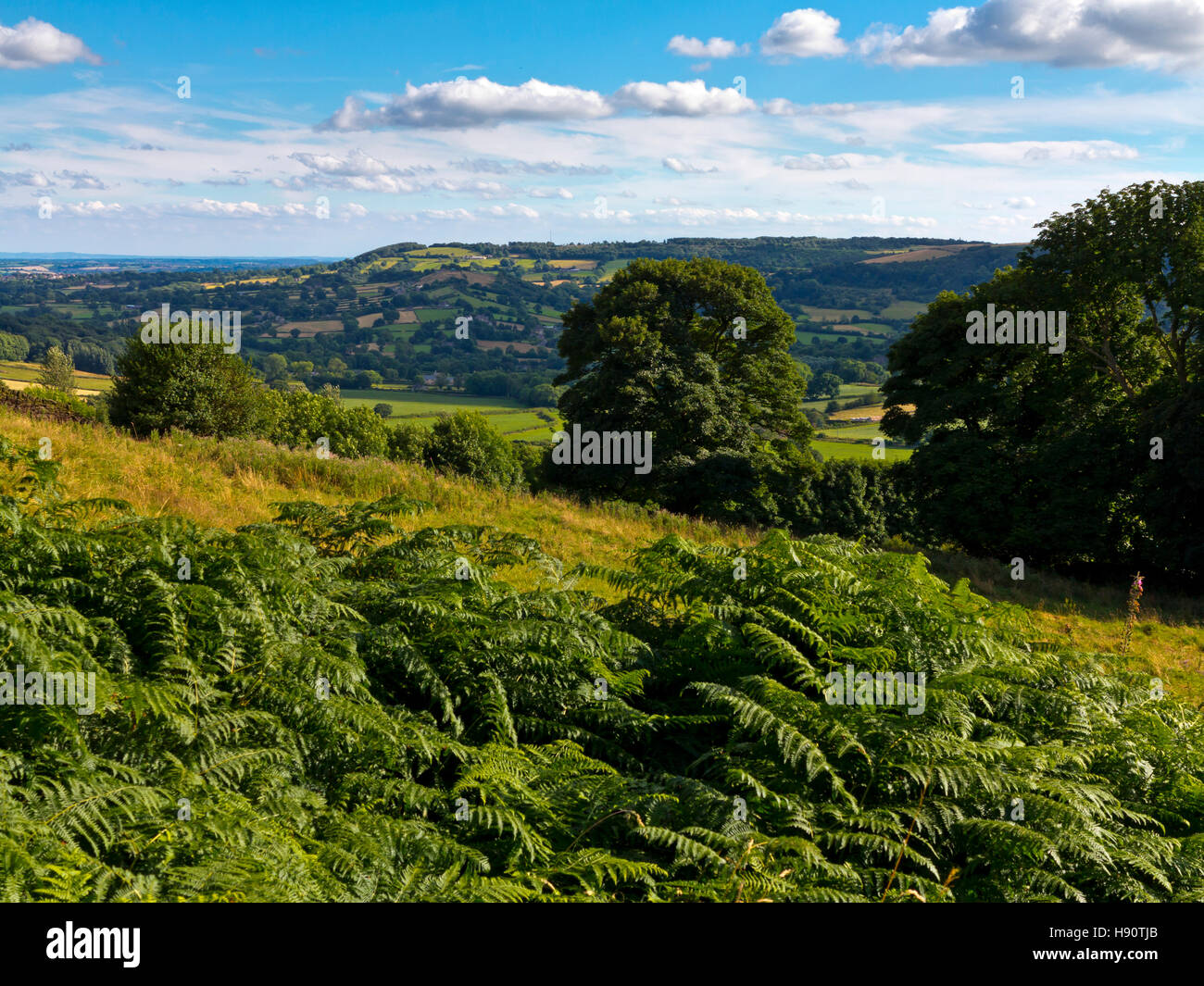 View over countryside in summer near Ashover Rock a popular viewpoint ...