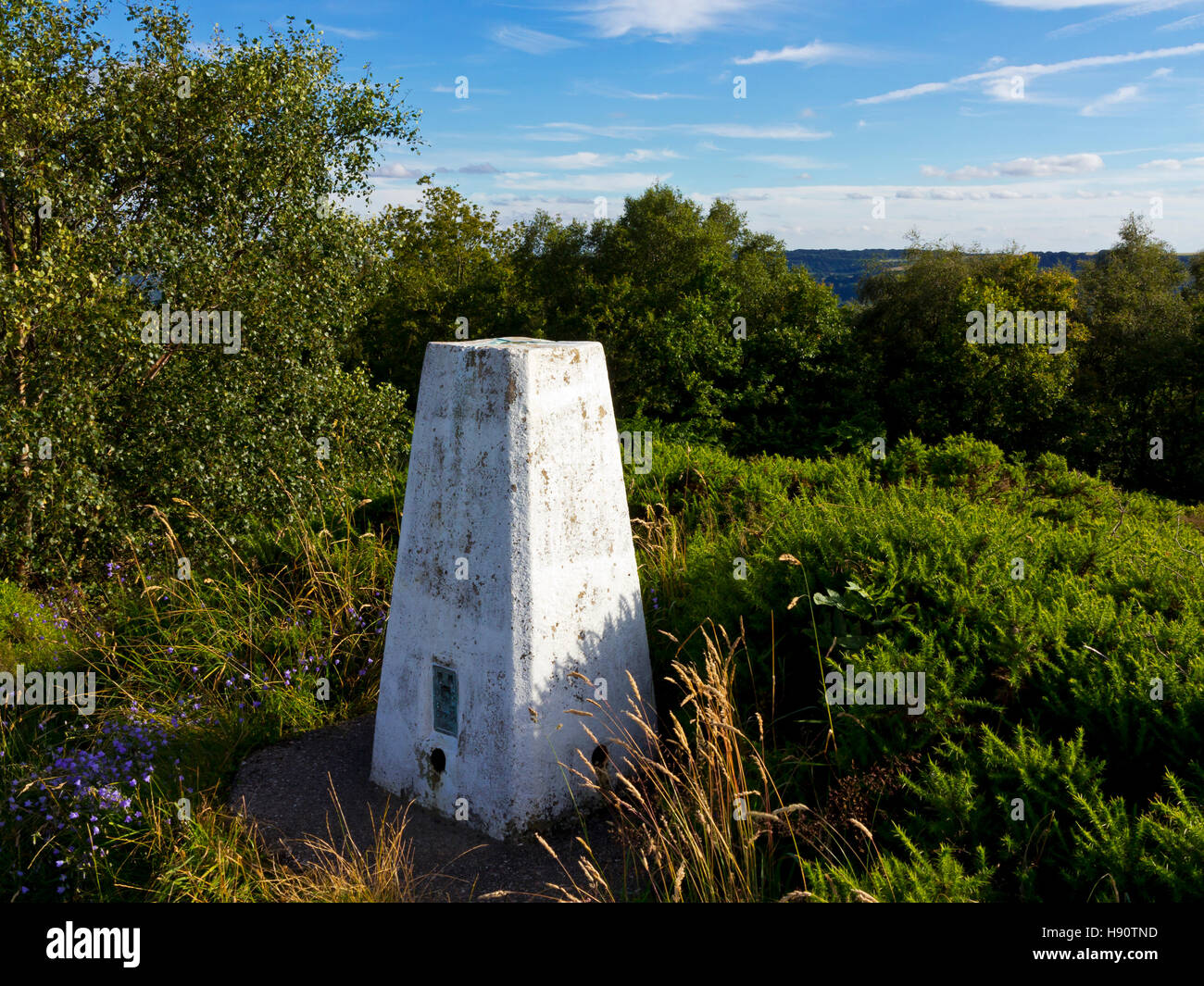 Ashover rock, derbyshire hi-res stock photography and images - Alamy
