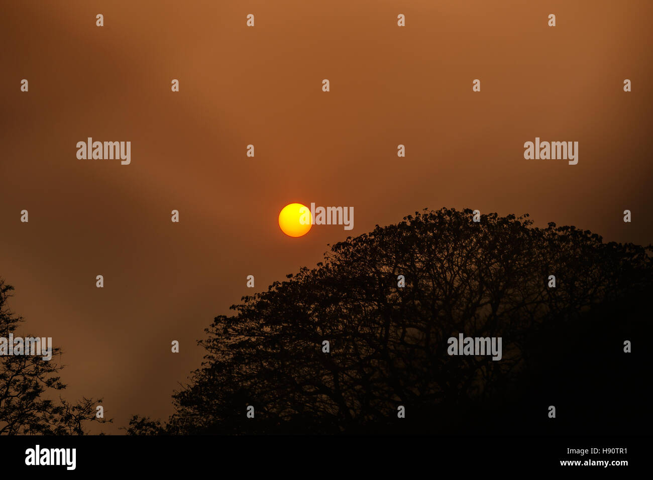 Brick wall sunset Stock Photo - Alamy
