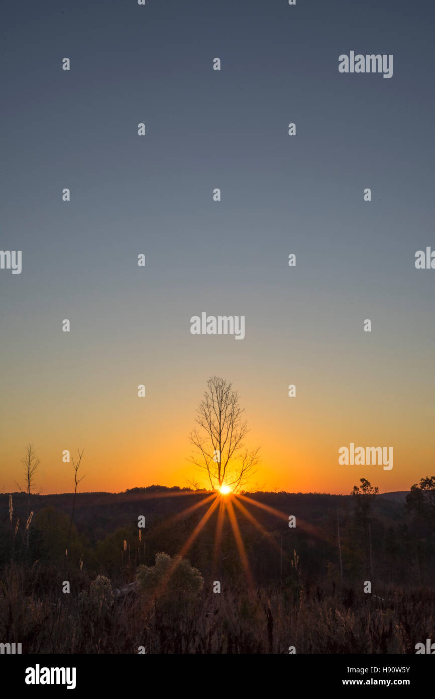 The sun peeks over the horizon on a beautiful November morning in ...