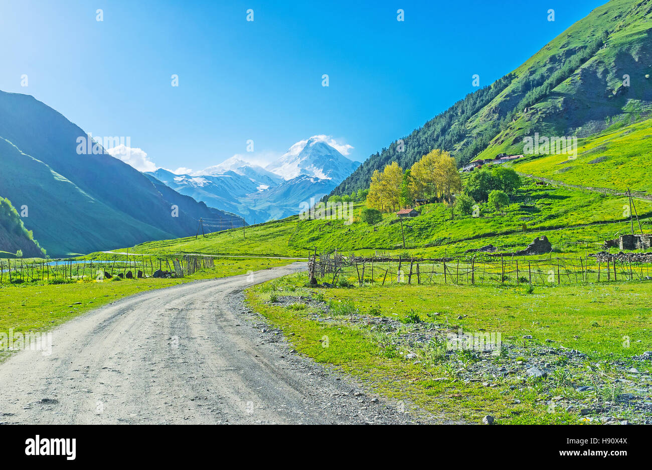 The green Sno valley is the perfect place for the livestock, local ...