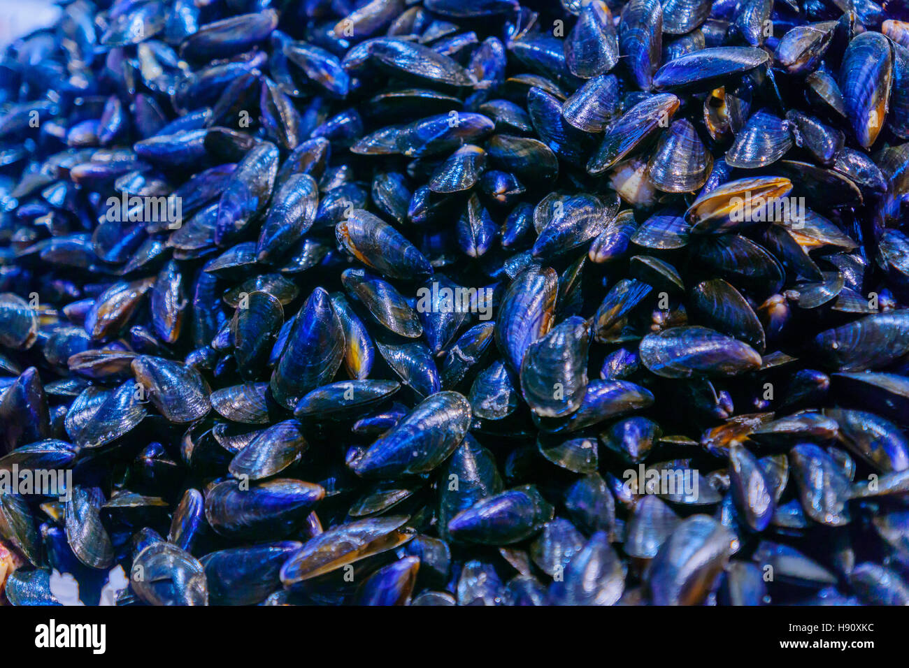 Mussels on sale in a French market in Dijon, Burgundy, France Stock ...