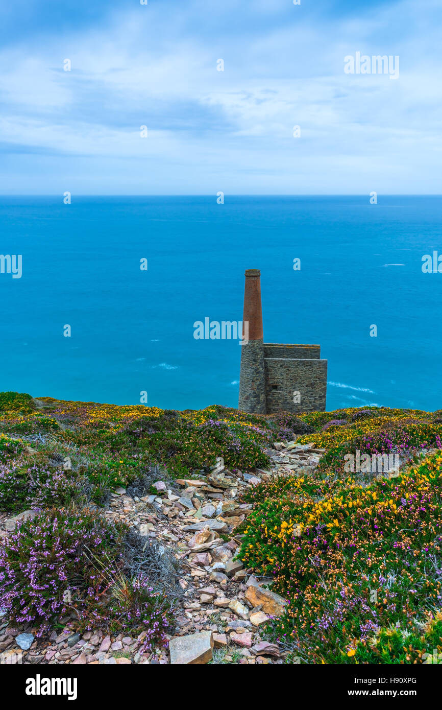 Wheals hi-res stock photography and images - Alamy