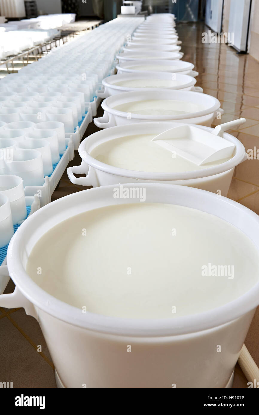 Plastic molds and milk with ferment for the production of soft cheese ...