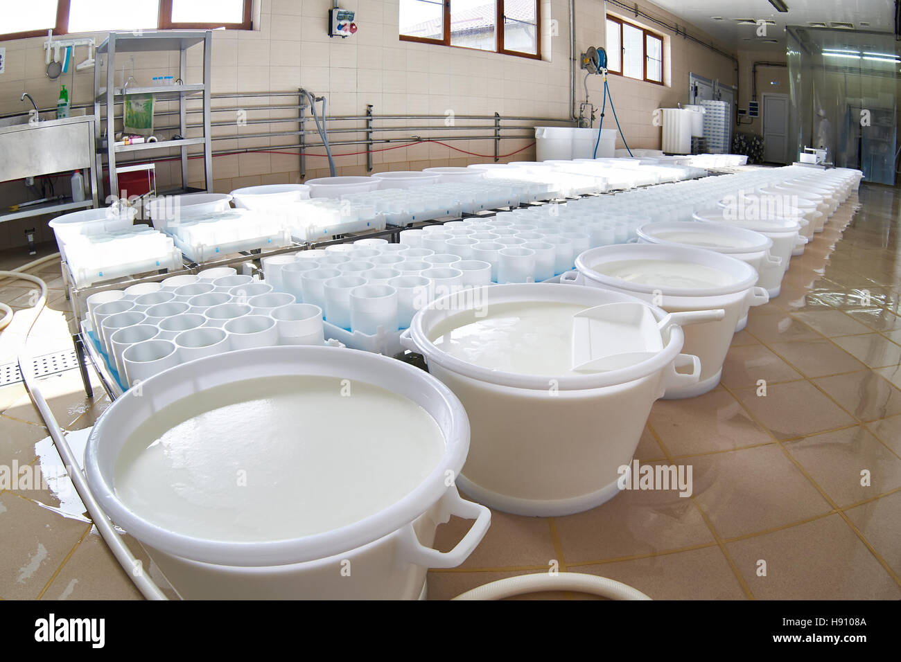 Plastic molds and milk with ferment for the production of soft cheese ...