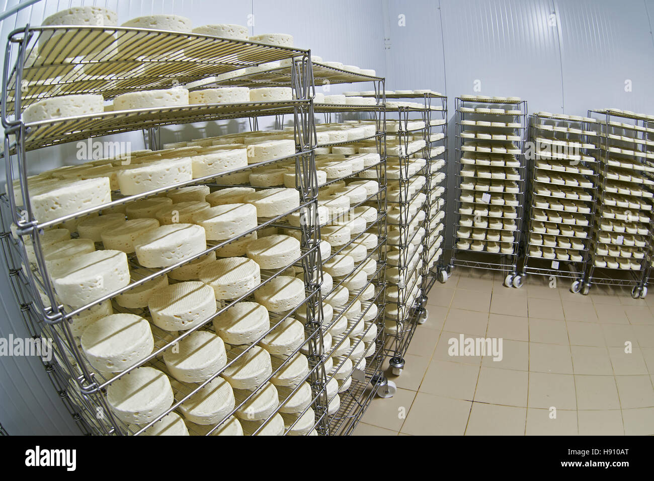 Cheese factory warehouse with shelves stacked with cheese Stock Photo ...