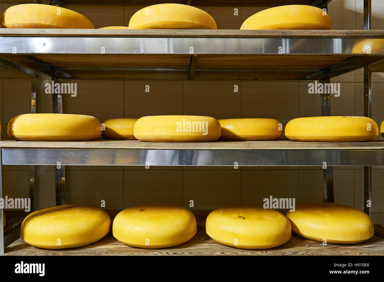 Cheese factory warehouse with shelves stacked with cheese Stock Photo ...