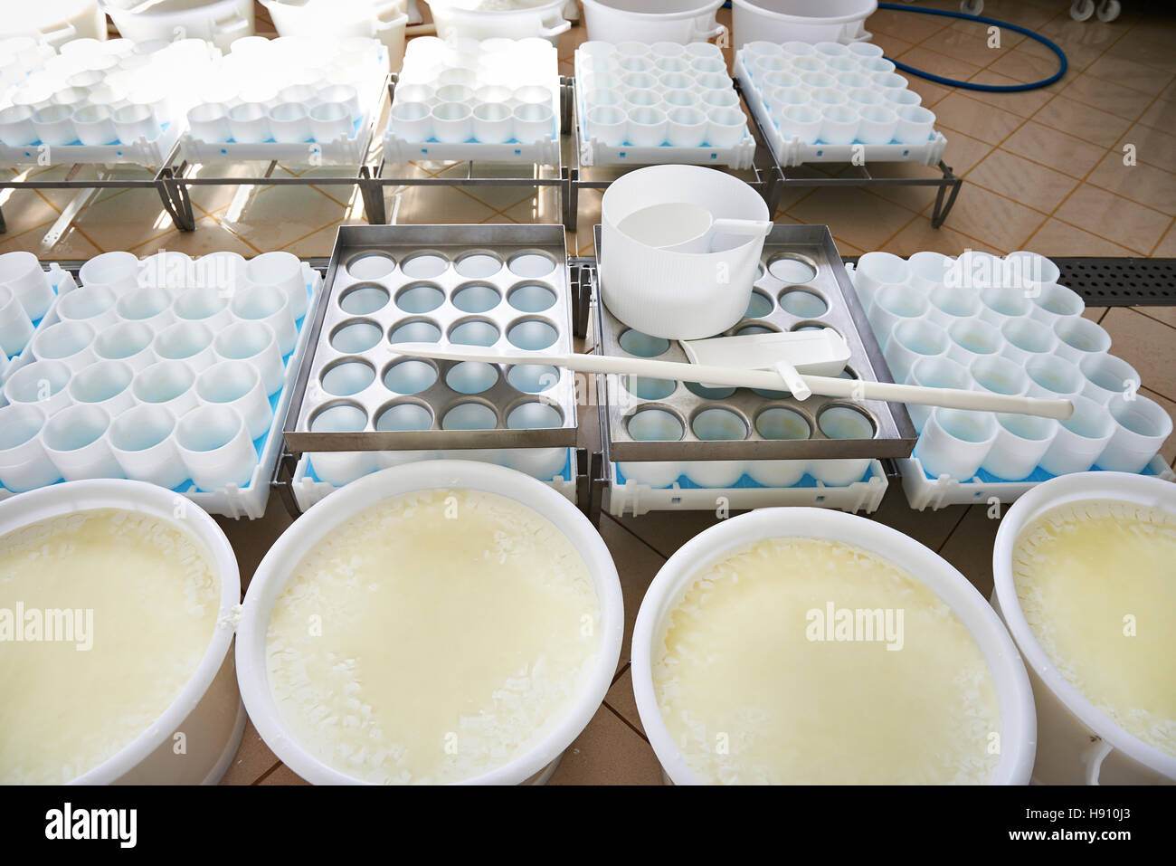 Camembert soft cheese production factory Stock Photo - Alamy