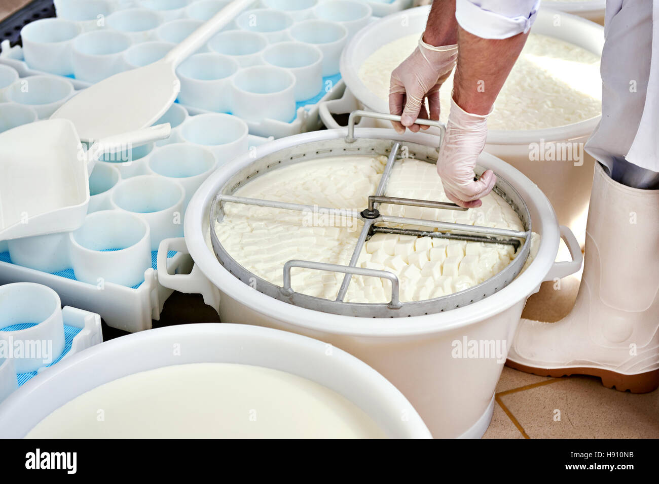 Mixing cheese material for the production of camembert Stock Photo - Alamy
