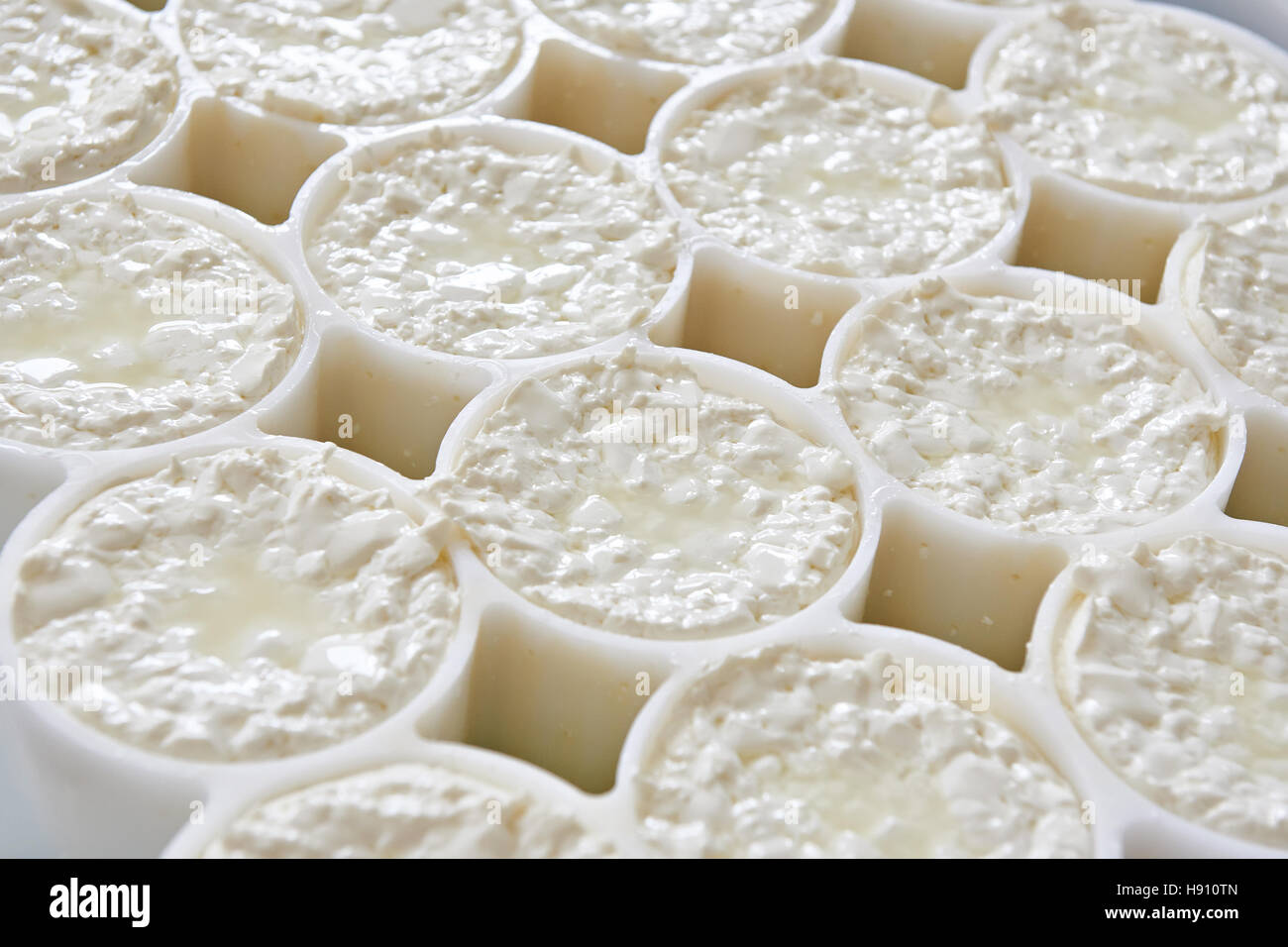 Plant production paper hi-res stock photography and images - Alamy