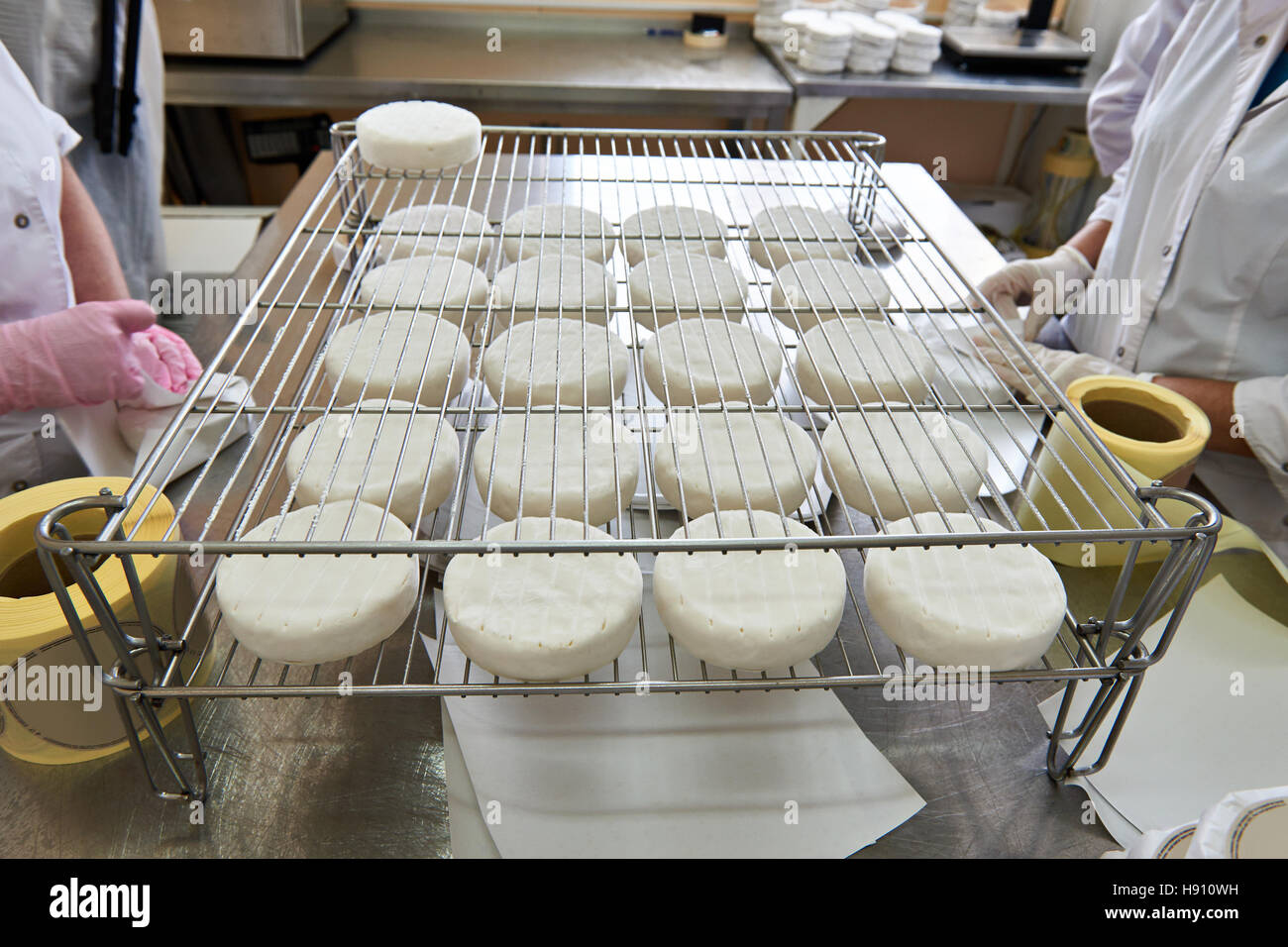 Manual packaging of cheese camembert in factory Stock Photo - Alamy