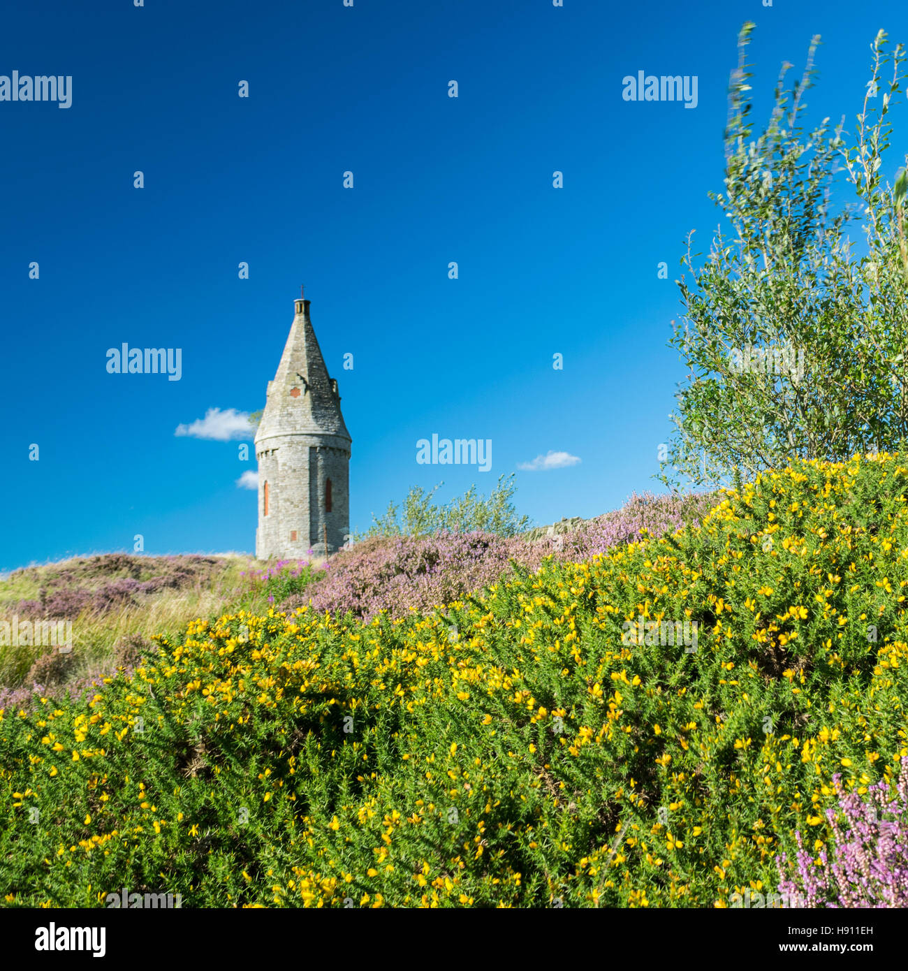 hartshead pike oldham saddleworth landscape summertime united kingdom ...