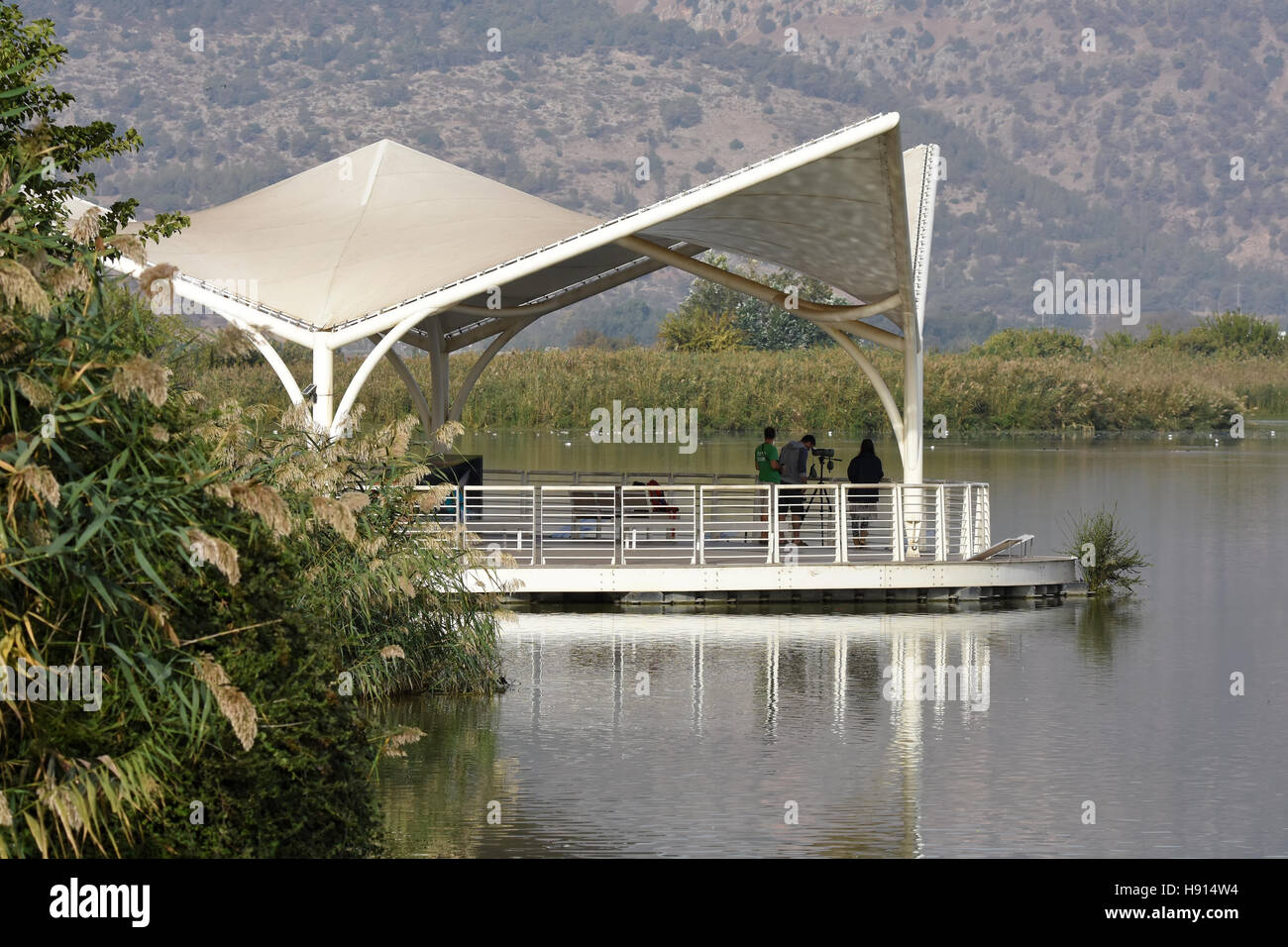 Agamon hula birdwatching pergola, Israel Stock Photo - Alamy