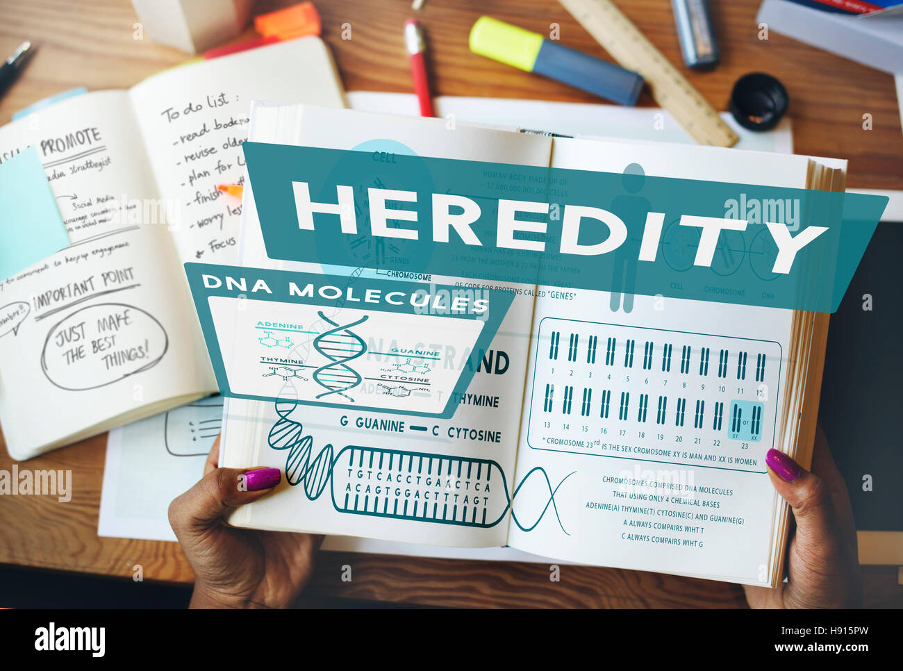 Heredity Biology Chromosome Molecular Science Concept Stock Photo - Alamy