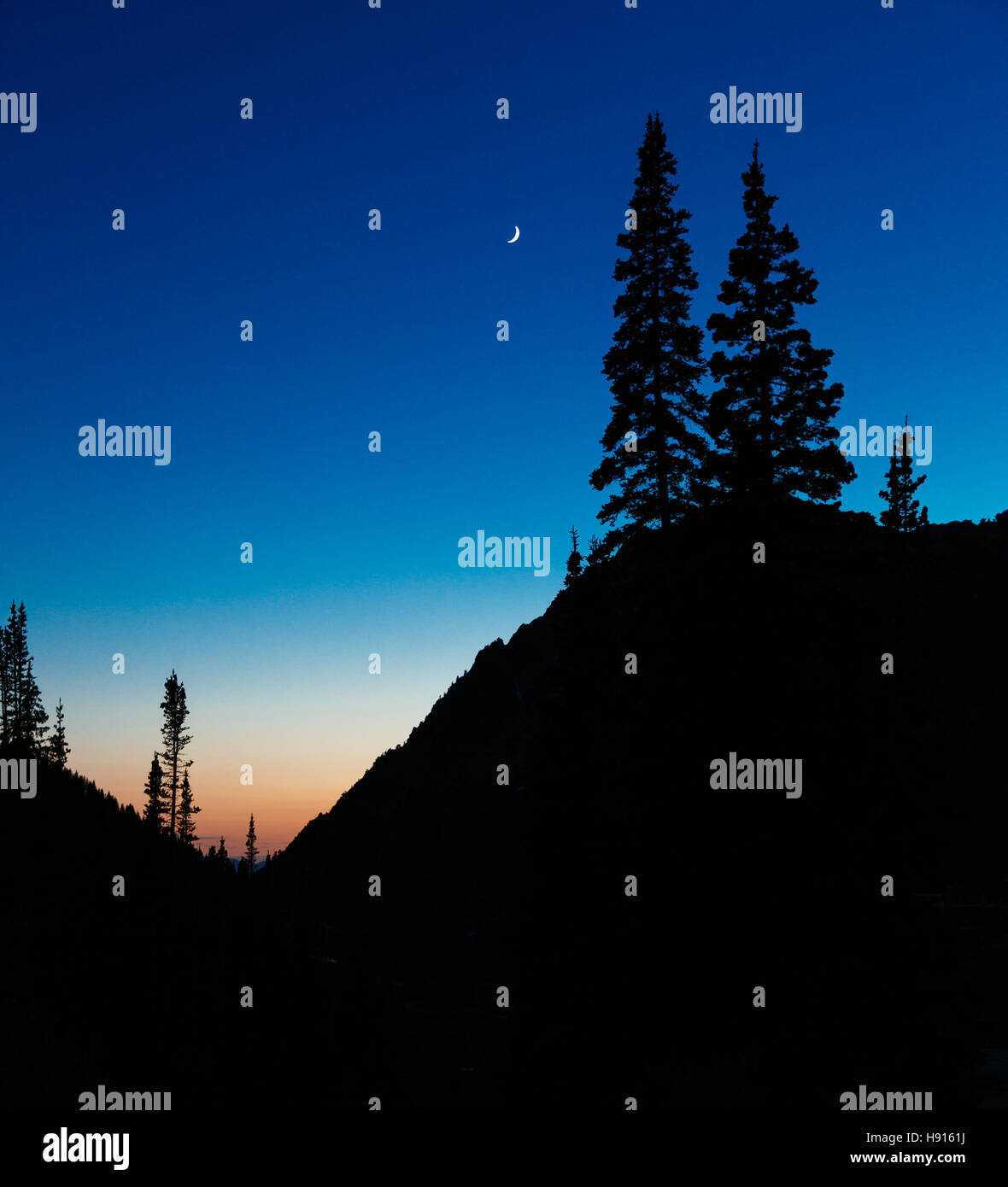 Gradients in nature hi-res stock photography and images - Alamy