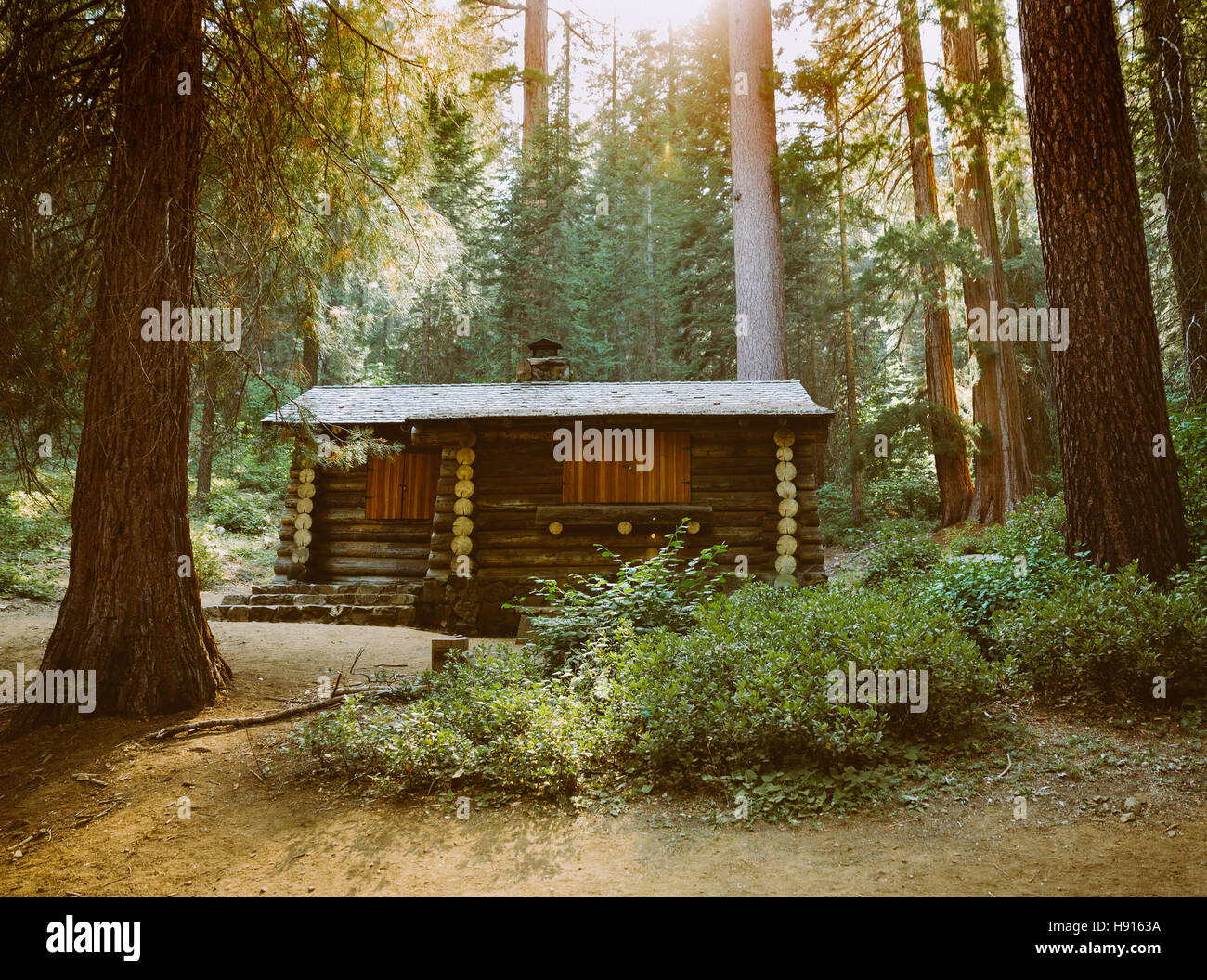 A Cabin in the Forest Stock Photo - Alamy