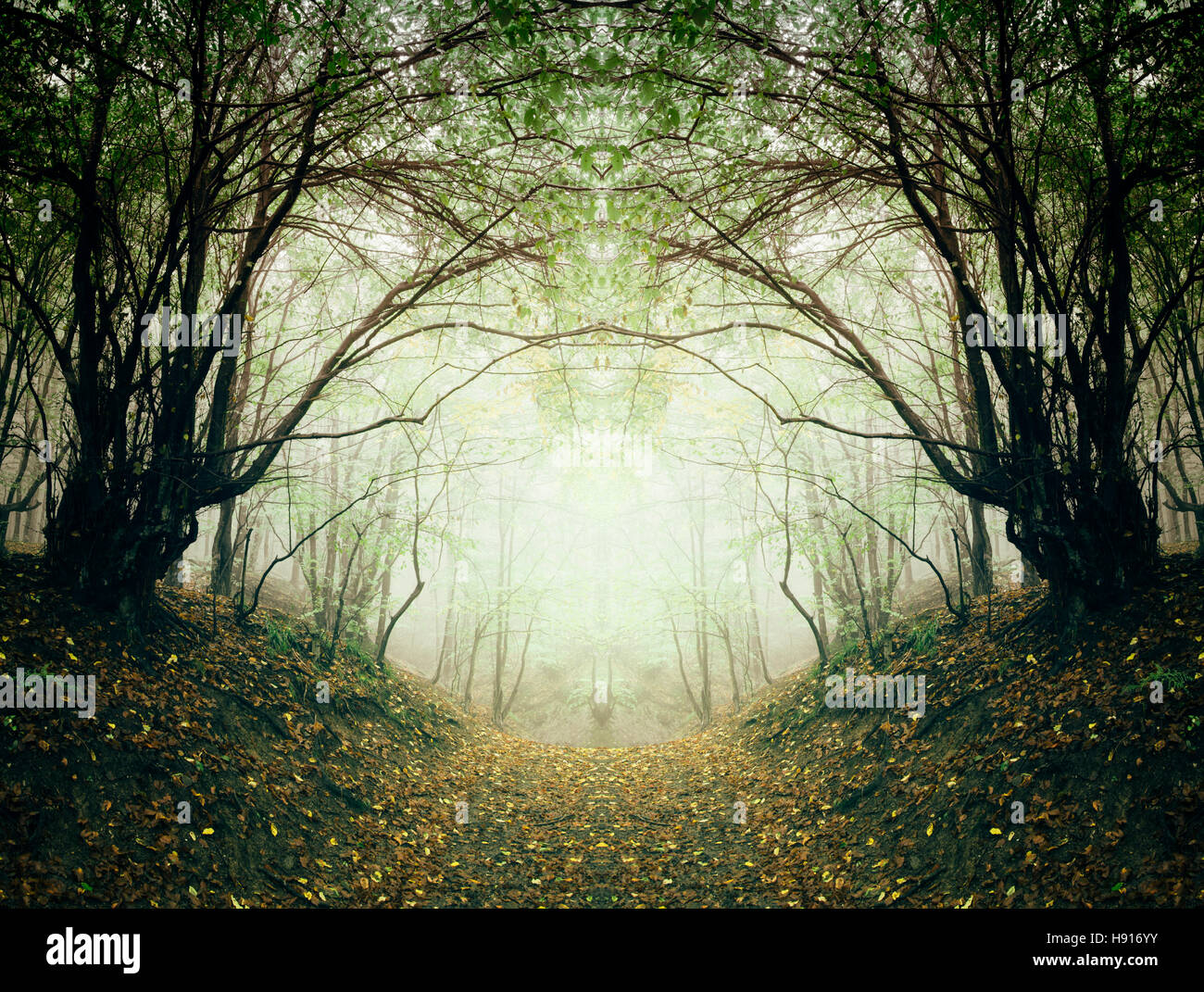 green forest path Stock Photo - Alamy