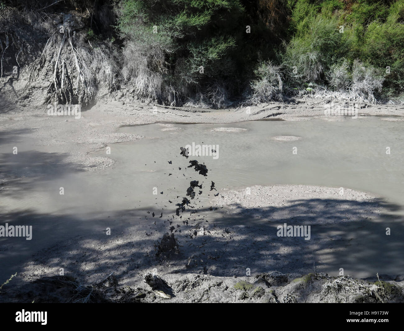 Bubbling mud at Waiotapu Thermal Park, Rotorua, North Island, New ...
