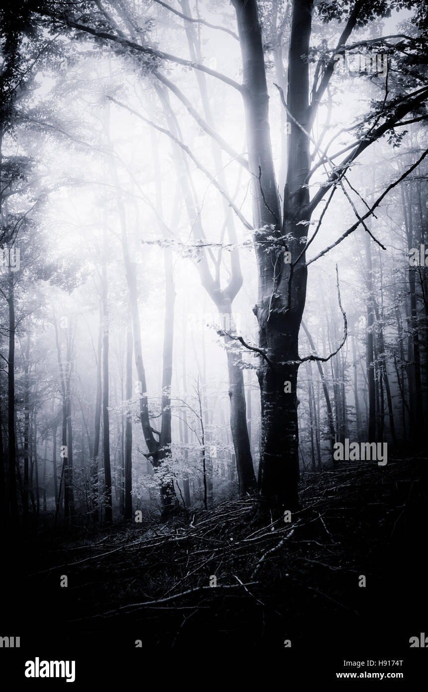 Atmospheric landscape hi-res stock photography and images - Alamy