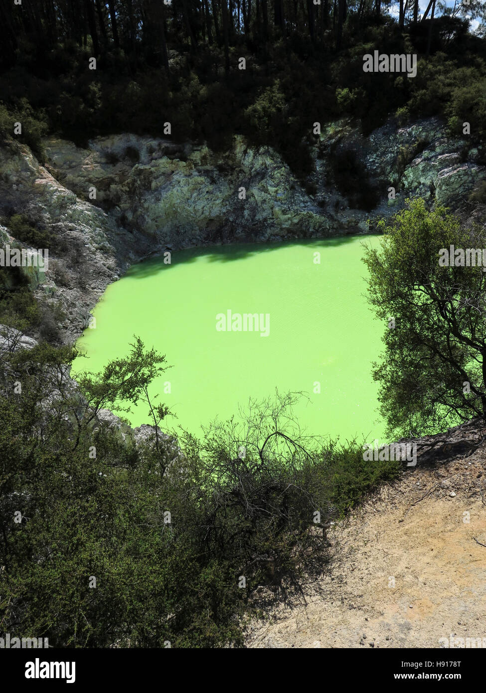 Devil's Bath at Waiotapu Thermal Park, Rotorua, North Island, New ...
