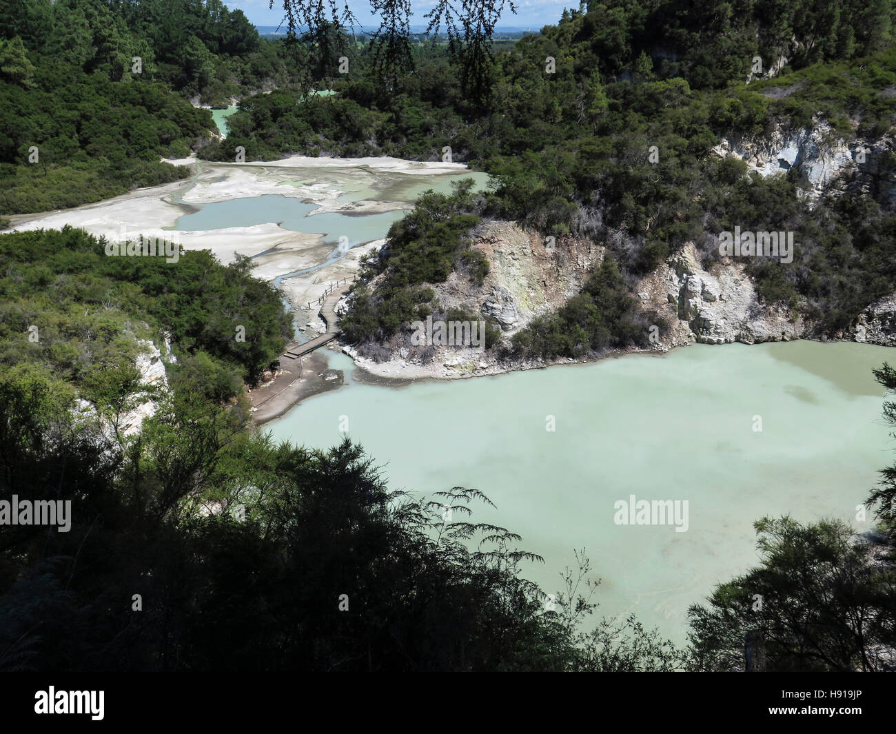 Oyster Pool at Waiotapu Thermal Park, Rotorua, North Island, New ...