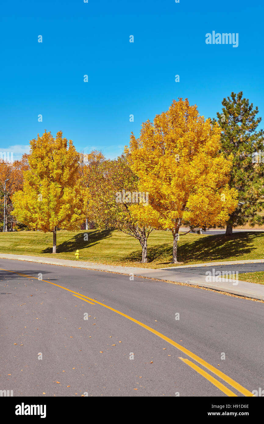Fall foliage along road hi-res stock photography and images - Alamy