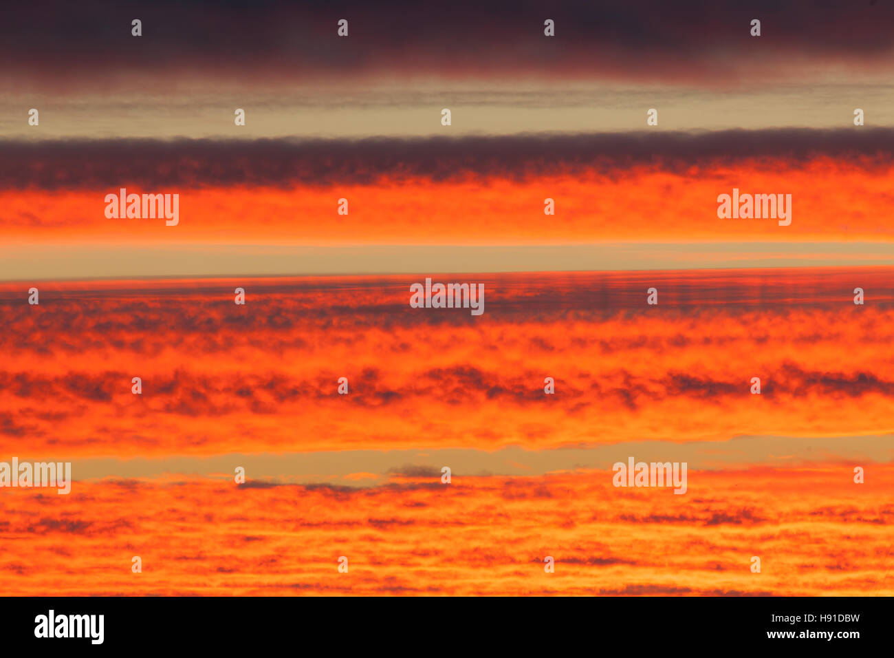 Fiery red sunset clouds Stock Photo - Alamy