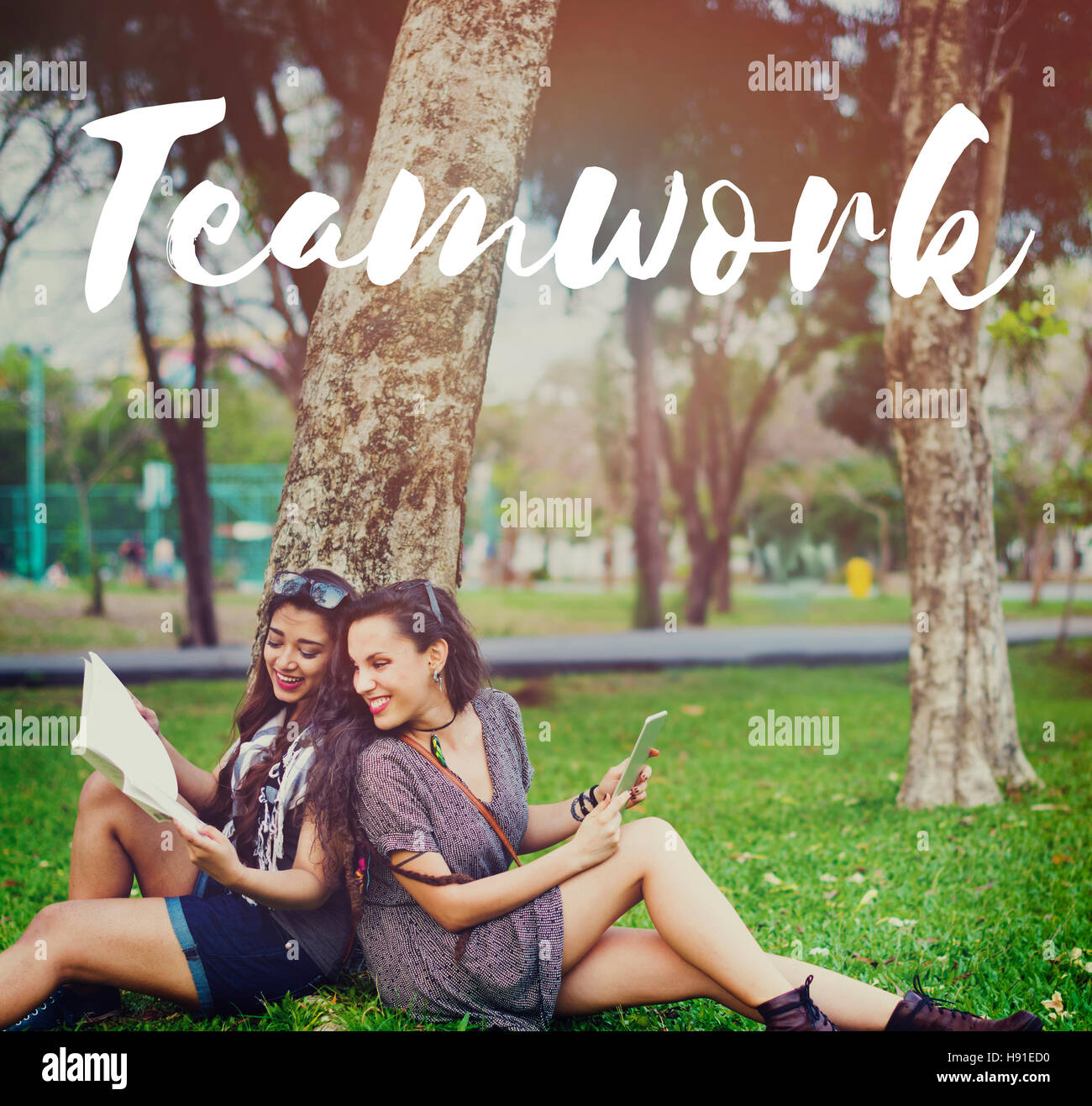 Teamwork Agreement Alliance Collaboration Unity Concept Stock Photo - Alamy
