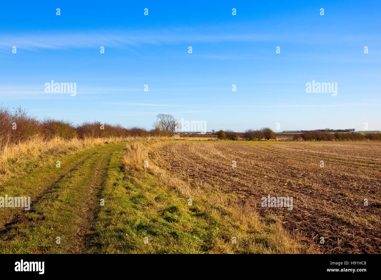 A grassy farm track and footpath by a cultivated field on the Yorkshire ...
