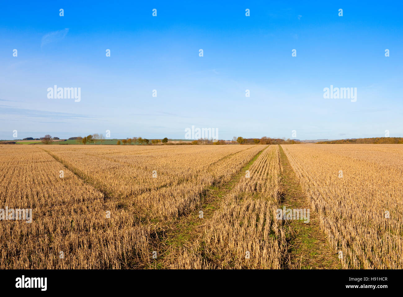 Landscape textures hi-res stock photography and images - Alamy
