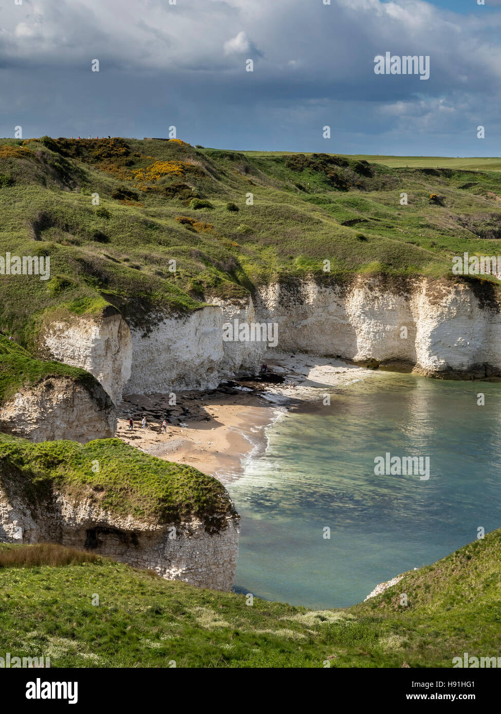 Selwicks Bay, Flamborough Head, East Yorkshire Stock Photo - Alamy