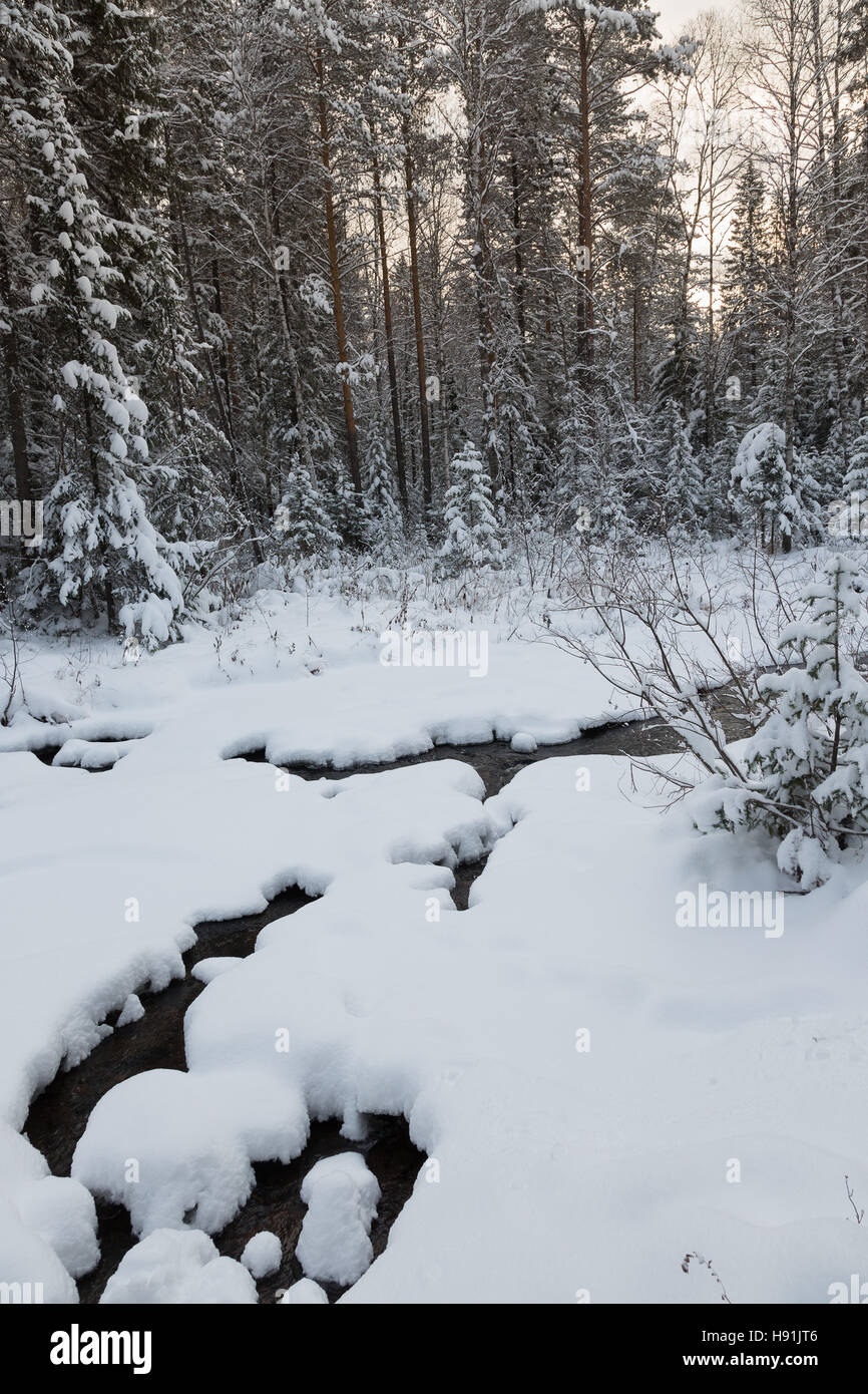 Ural arctic hi-res stock photography and images - Alamy