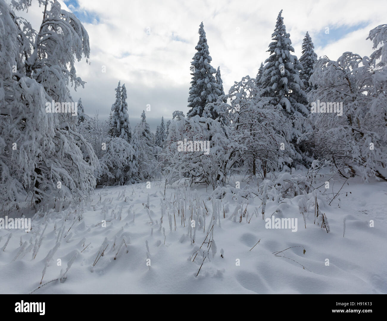 Winter forest in the Ural Mountains, the ridge of Taganay Stock Photo ...