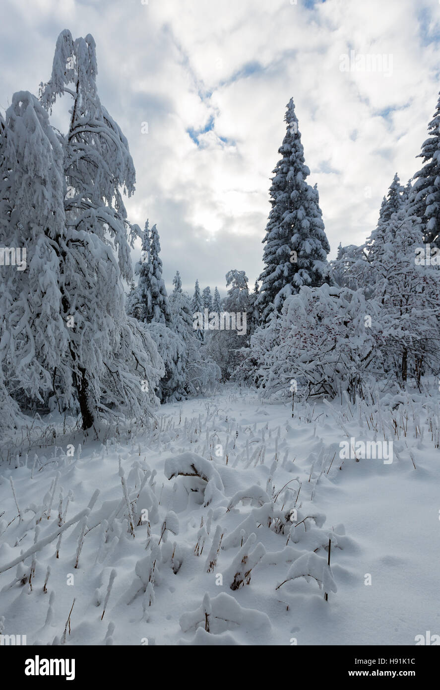 Winter forest in the Ural Mountains, the ridge of Taganay Stock Photo ...