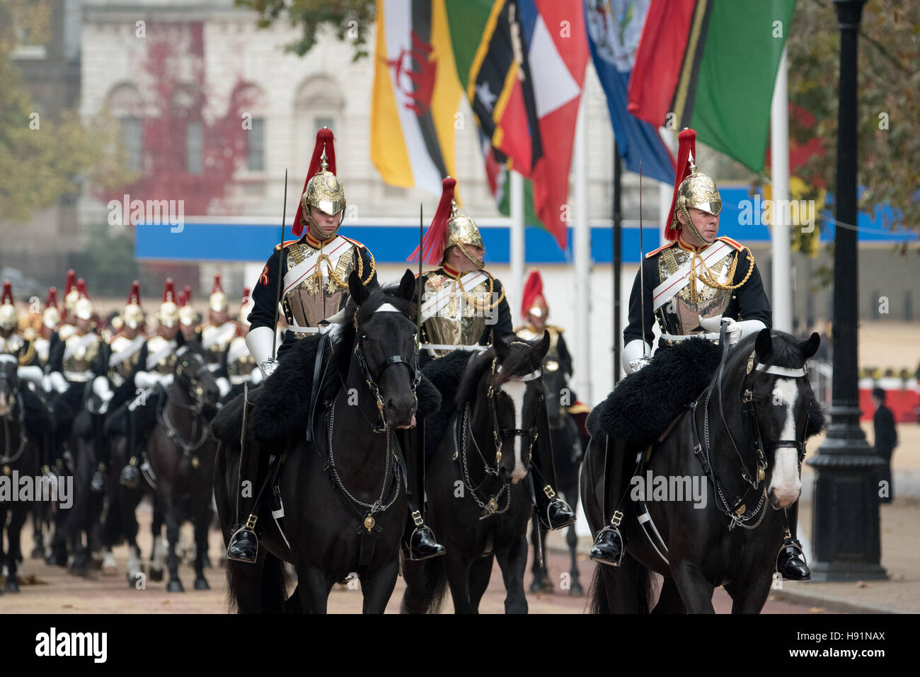 Ceremonial horses hi-res stock photography and images - Alamy