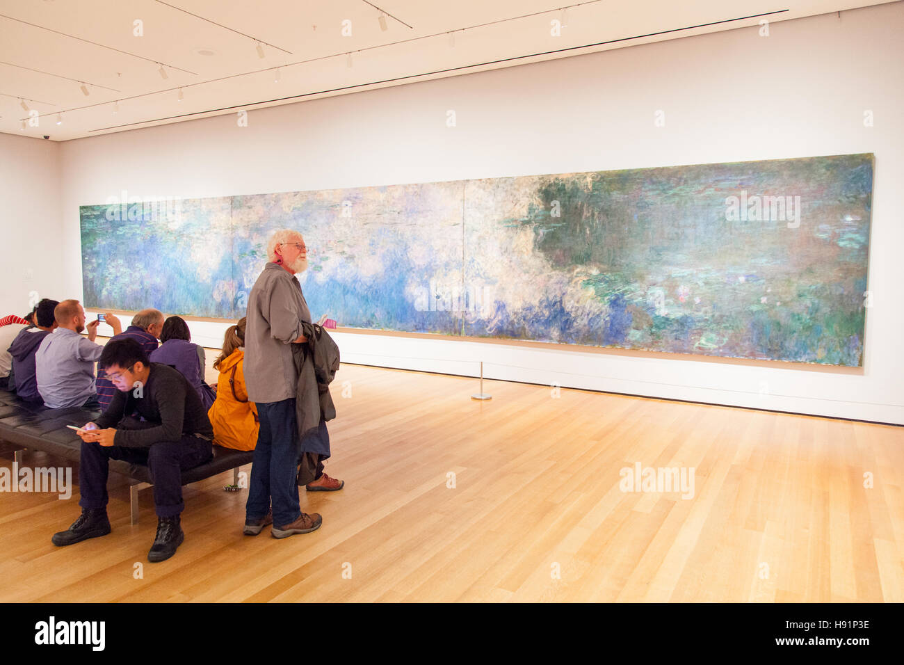 Monet Water Lilies Moma