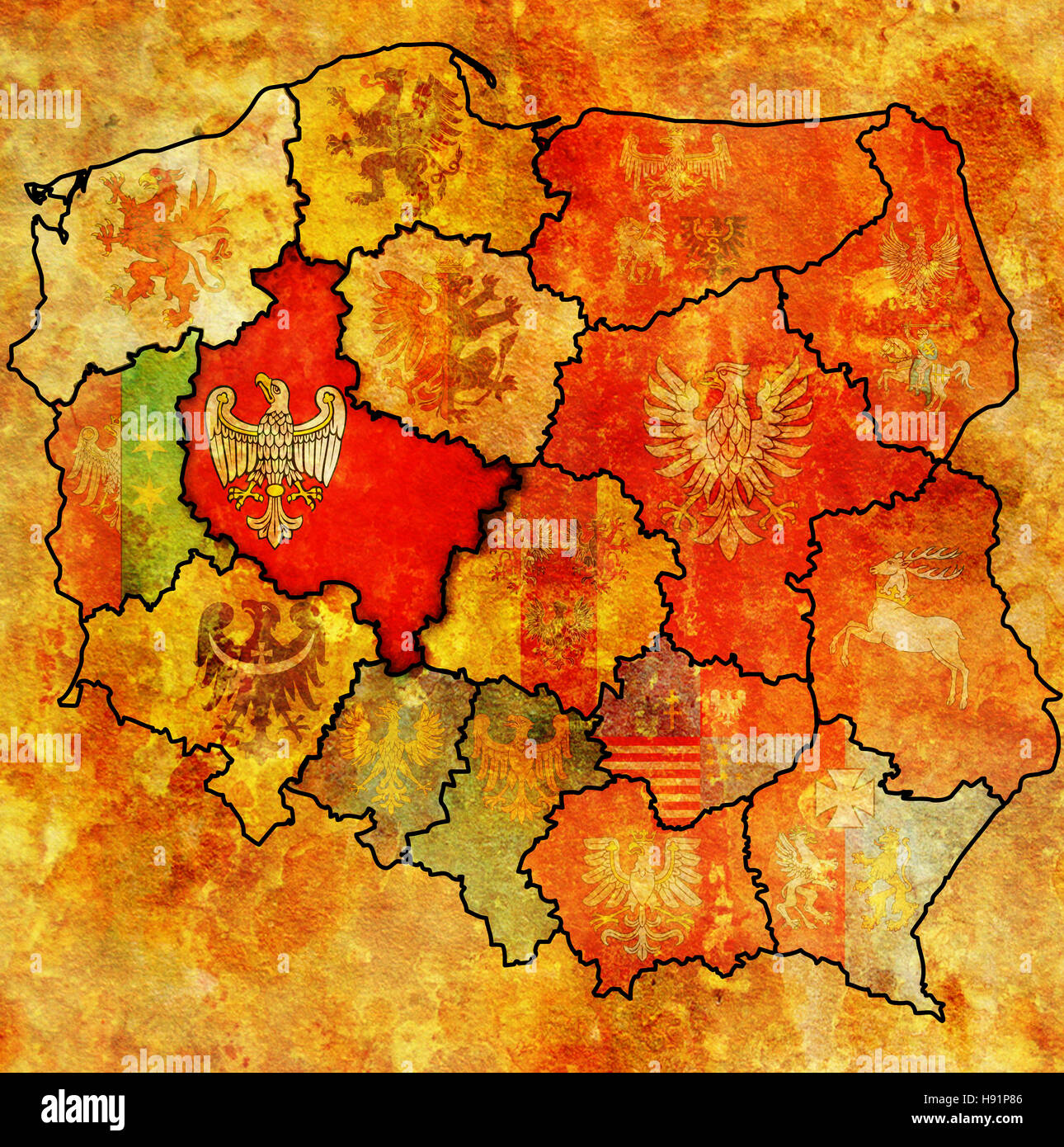 wielkopolskie region on administration map of poland with flag of other ...