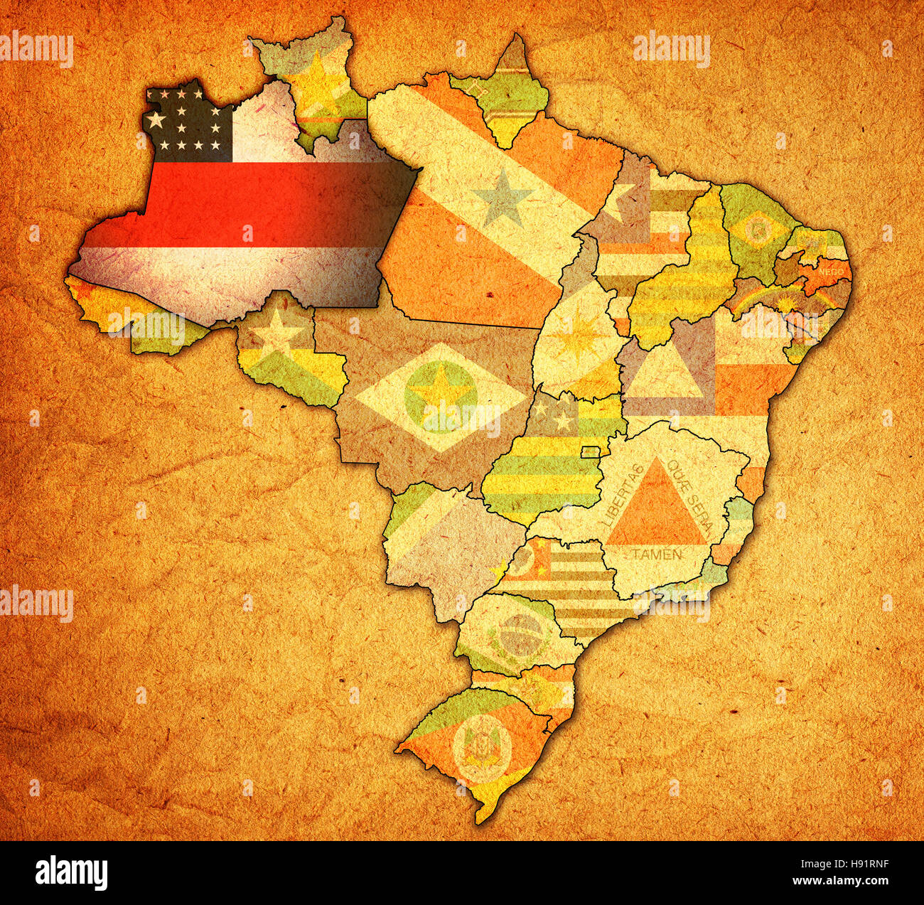 amazonas state on admistration map of brazil with flags Stock Photo - Alamy