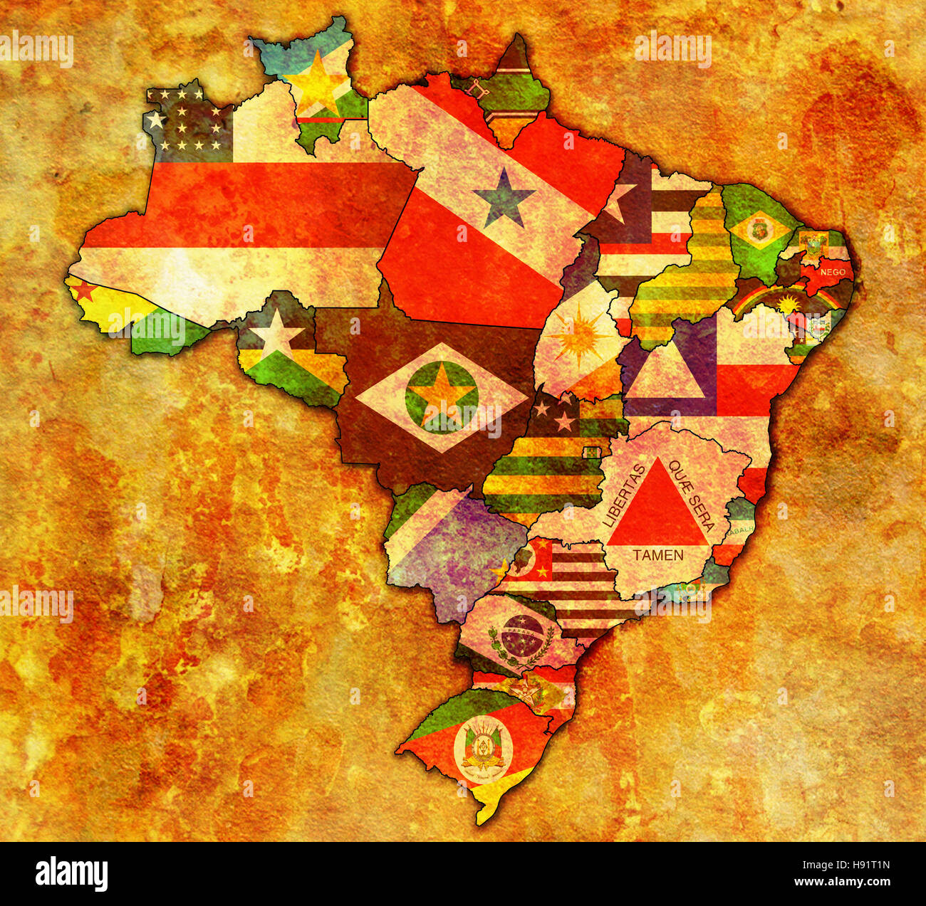states and regions on admistration map of brazil with flags Stock Photo ...